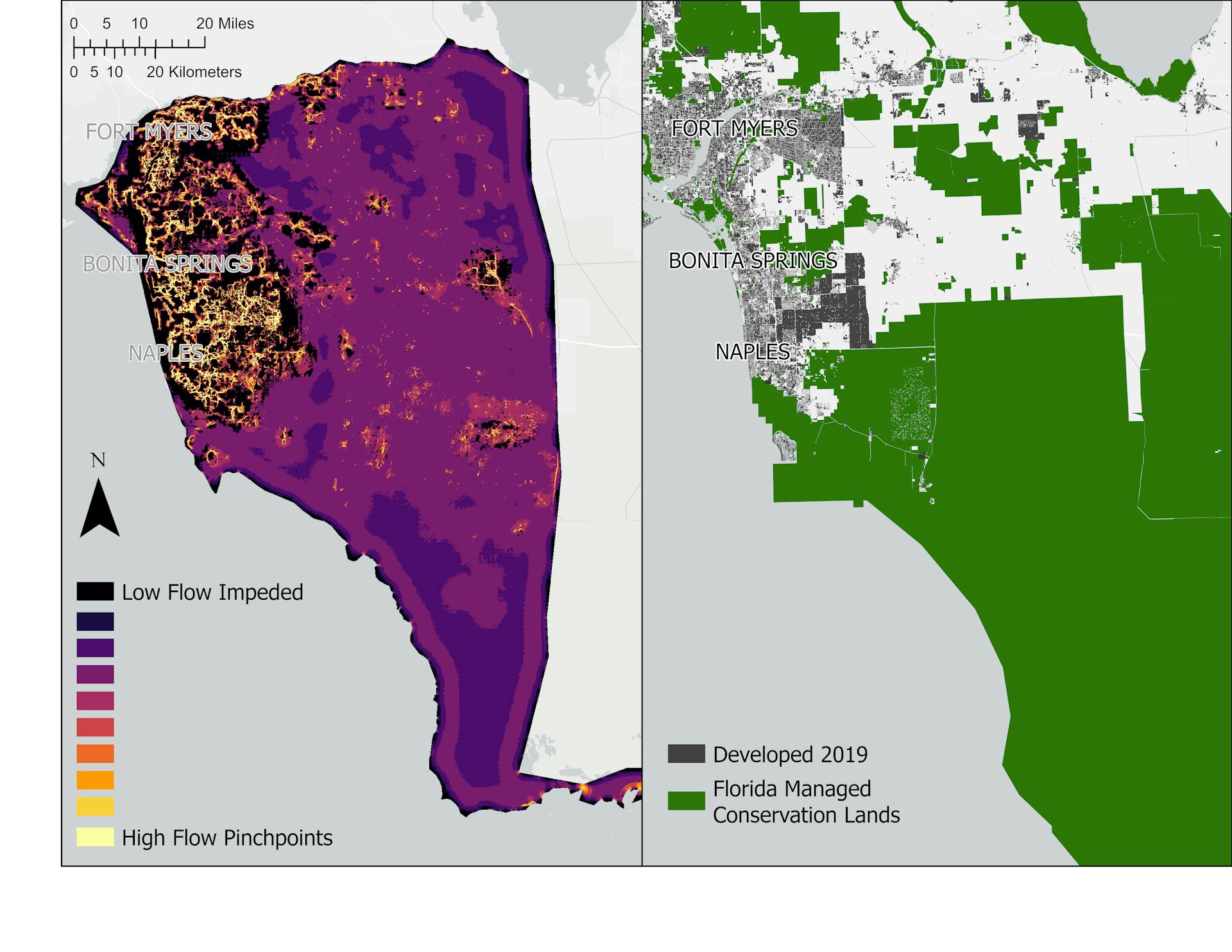 Better urban design could help save Florida’s threatened Big Cypress ...